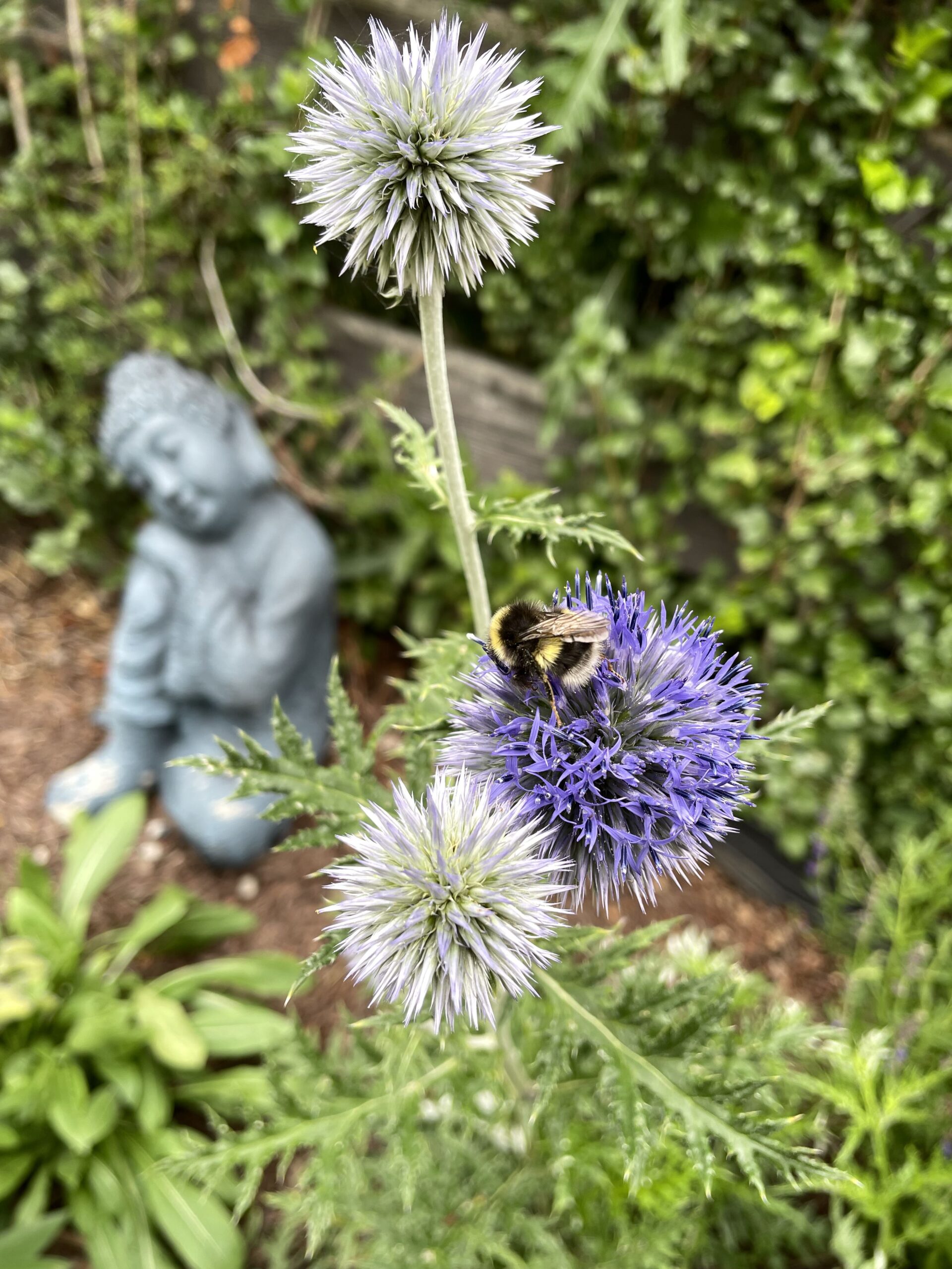 Christopher Savard_1 - Métis Nation of Alberta