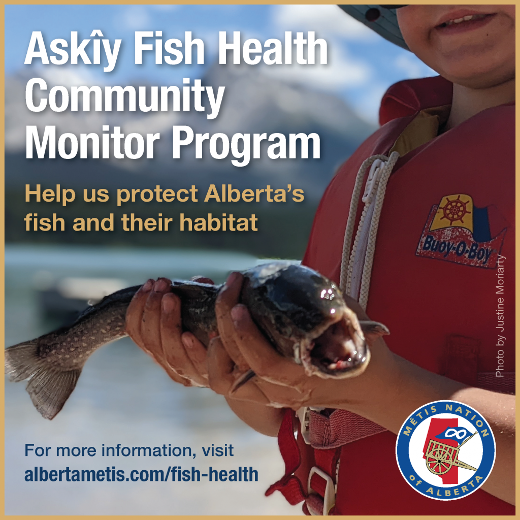 Askîy Fish Health Community Monitor Program - Métis Nation of Alberta
