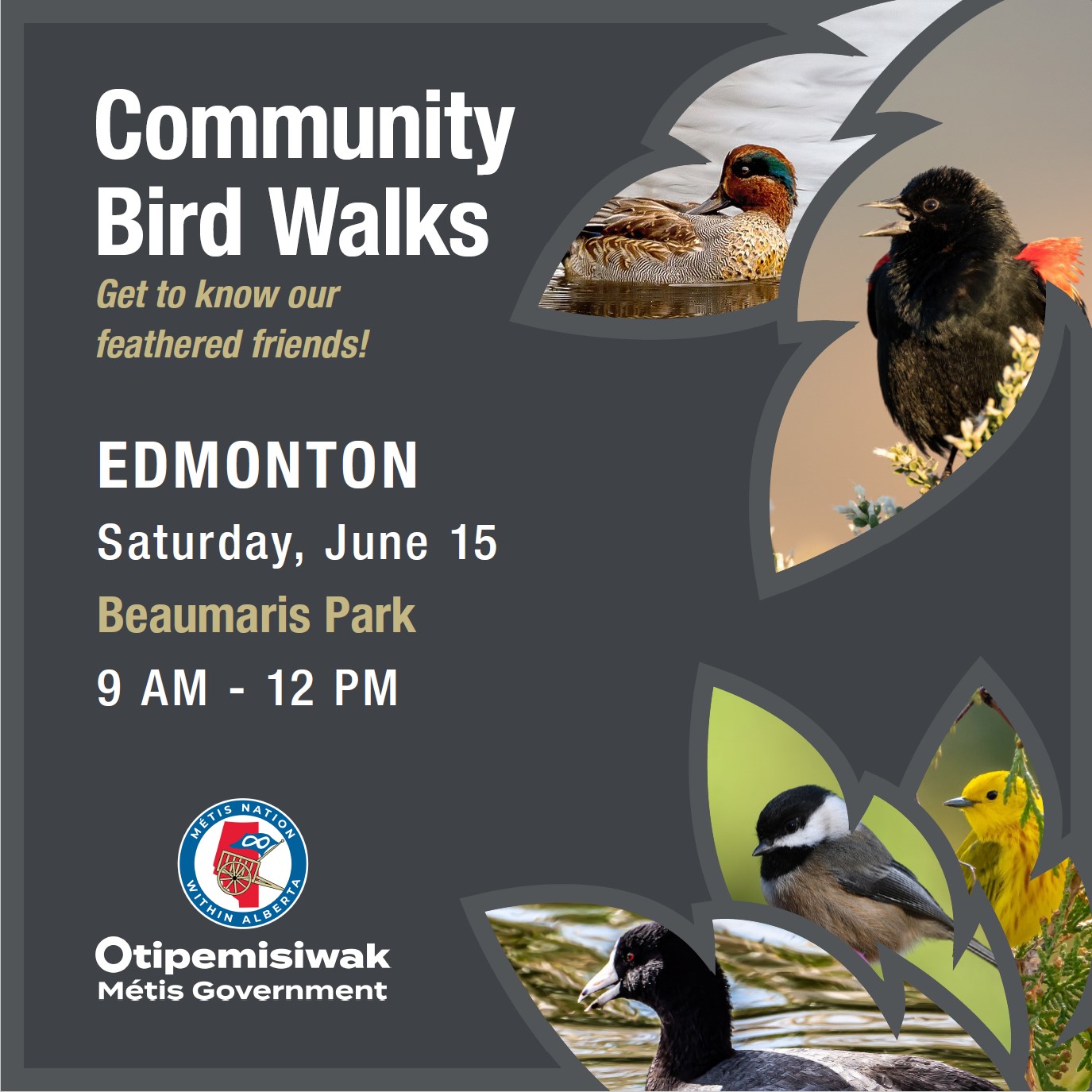 Community Bird Walk: Edmonton - Otipemisiwak Métis Government
