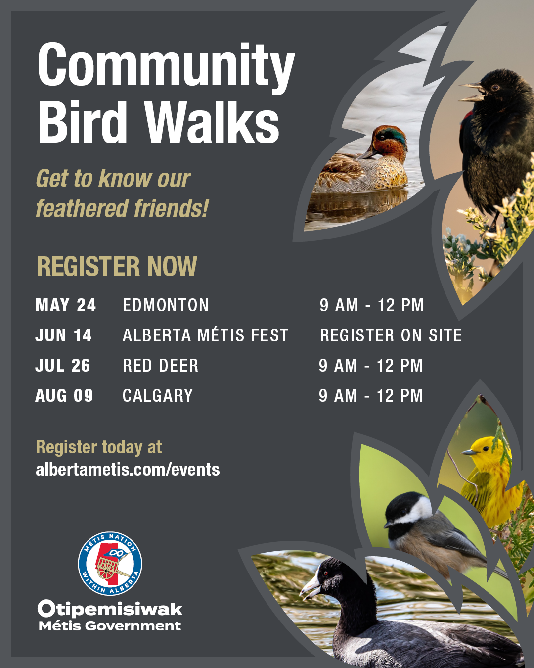 Bird Walks August 9 Calgary - Otipemisiwak Métis Government