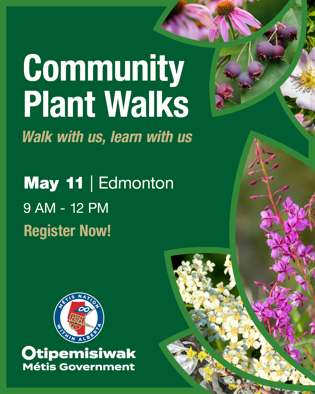 Plant Walks: May 11 Edmonton - Otipemisiwak Métis Government